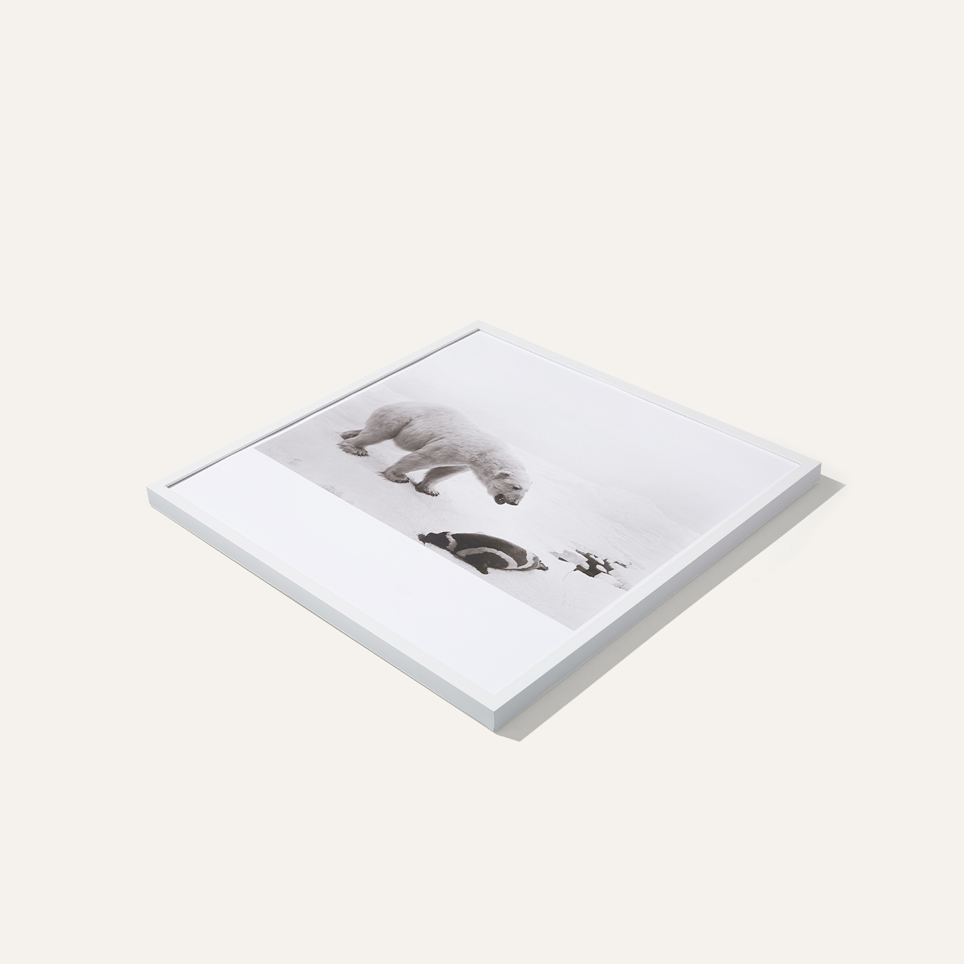 polarbear poster / Compartment. | 撮影・展示用小道具・小物・雑貨レンタル